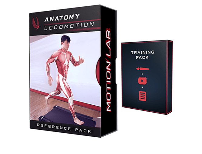 Anatomy & Locomotion Reference | Animator Guild