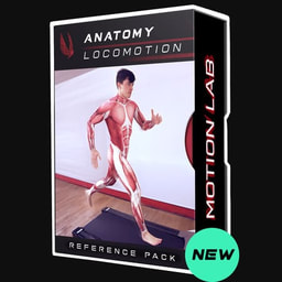 Animator Guild - The Easiest and Fastest Way to Learn Animation