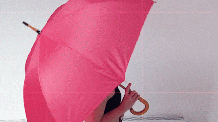 Animator Guild - The Easiest and Fastest Way to Learn Animation